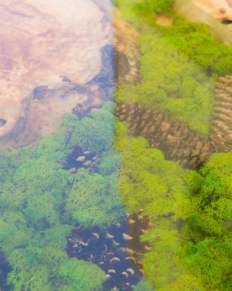 Forest Tables Dining Tables Nature Tables Epoxy Resin | Etsy