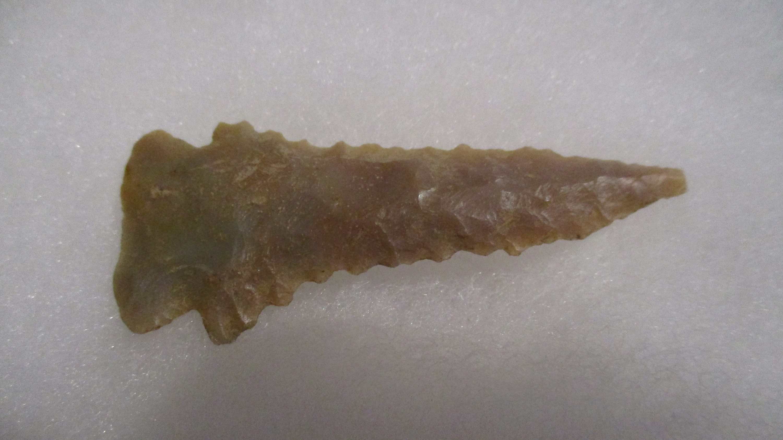 Pine Tree Arrowhead Native American Artifact 2 3/8 Inch | Etsy