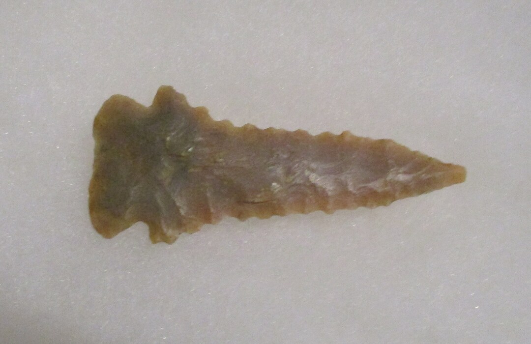 Pine Tree Arrowhead Native American Artifact 2 3/8 Inch - Etsy