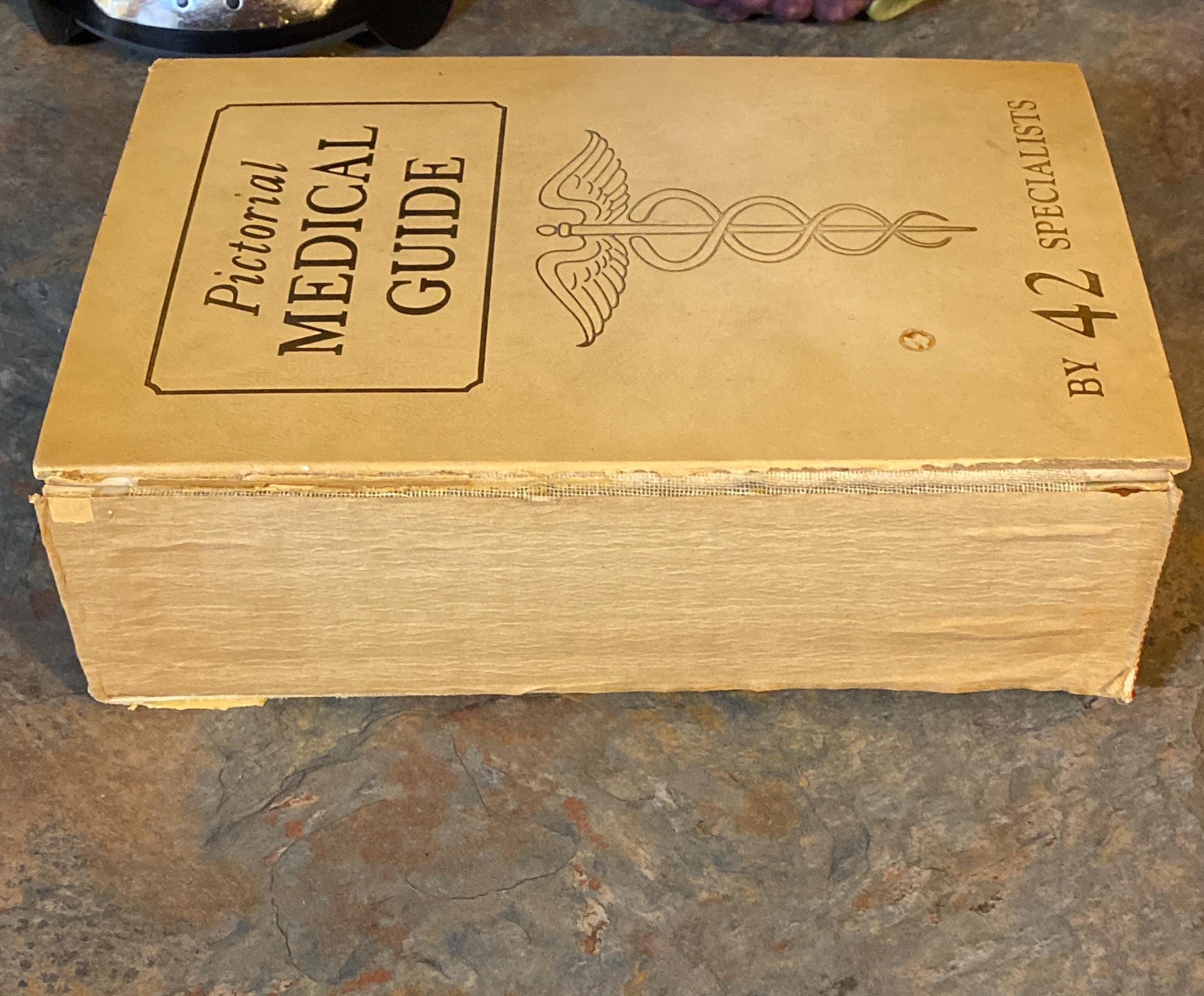 1964 Pictorial Medical Guide-every Woman’s Standard Medical Guide - Etsy