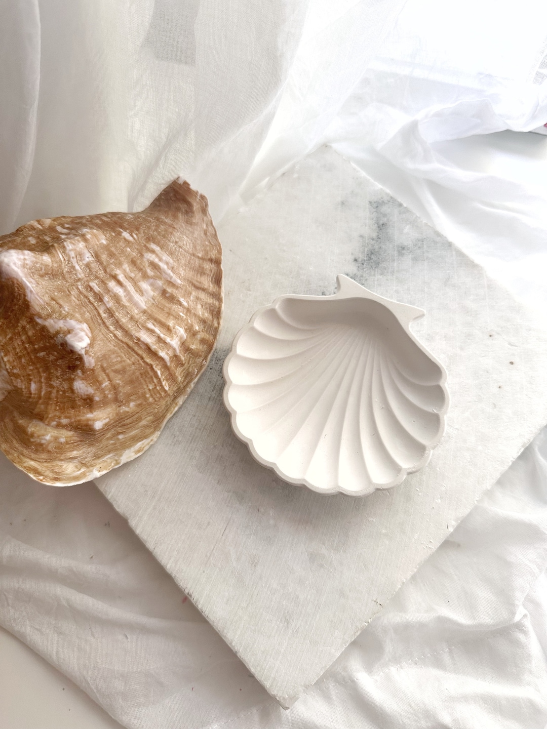 Cement Sea Shell Trinket Tray: Beach Decor Candle Holder - Etsy