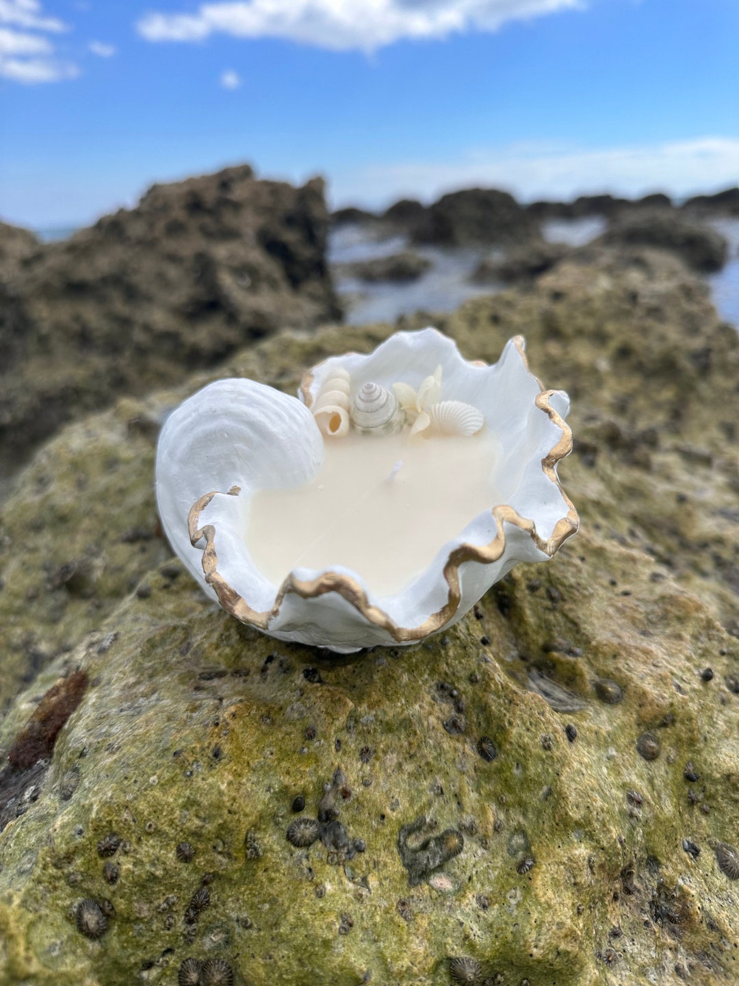 Seashell Soy Candle: Ocean Scented, Handmade Beach Decor - Etsy