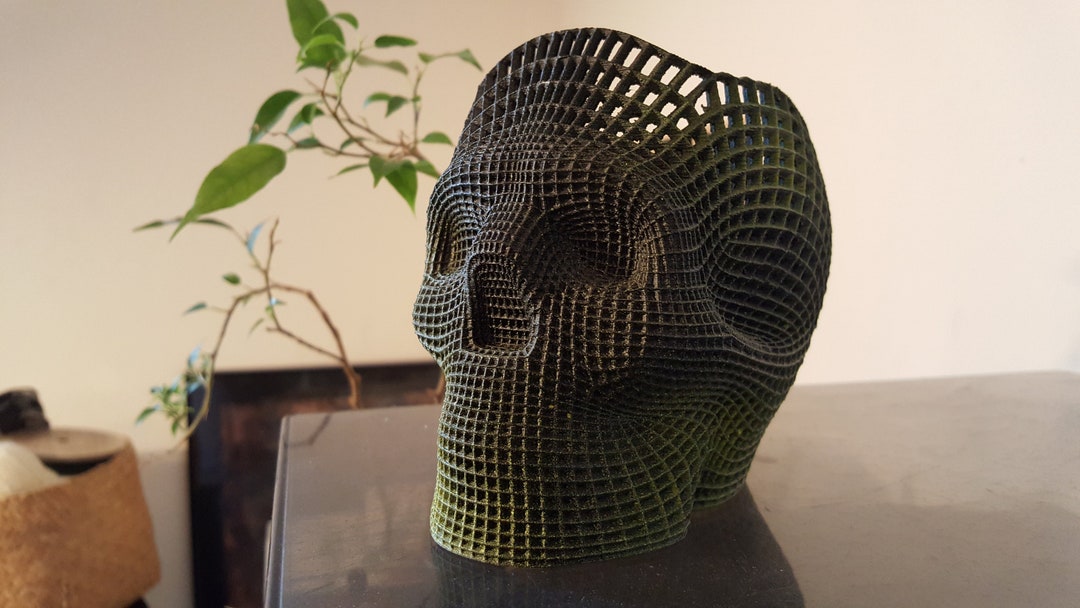 Wireframe Skull Paint - Etsy