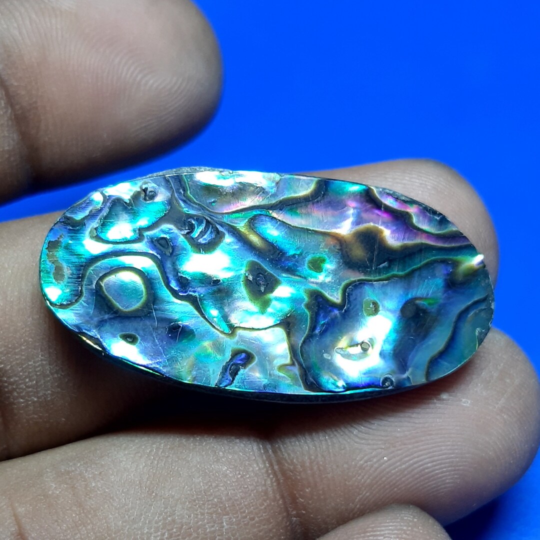 Abalone Shell 17x36mm Netural Abalone Shell Cabochon Loose Gemstone ...