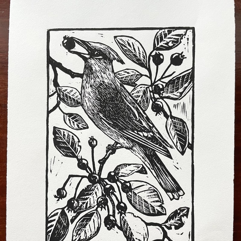 Original Waxwing Bird Art - Etsy