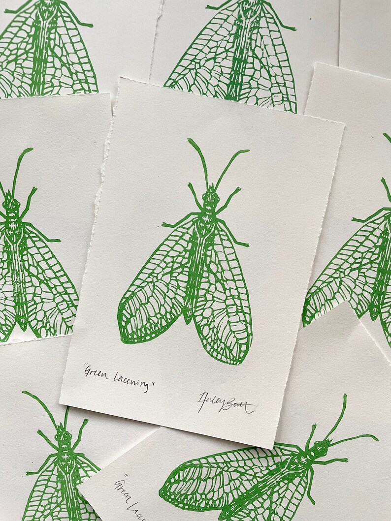 Green Lacewing Mini Linocut Print | 4x6 Insect Relief Block Print ...