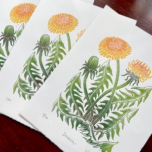 Dandelion Bloom Color Linocut Print | Taraxacum Art Block Print ...