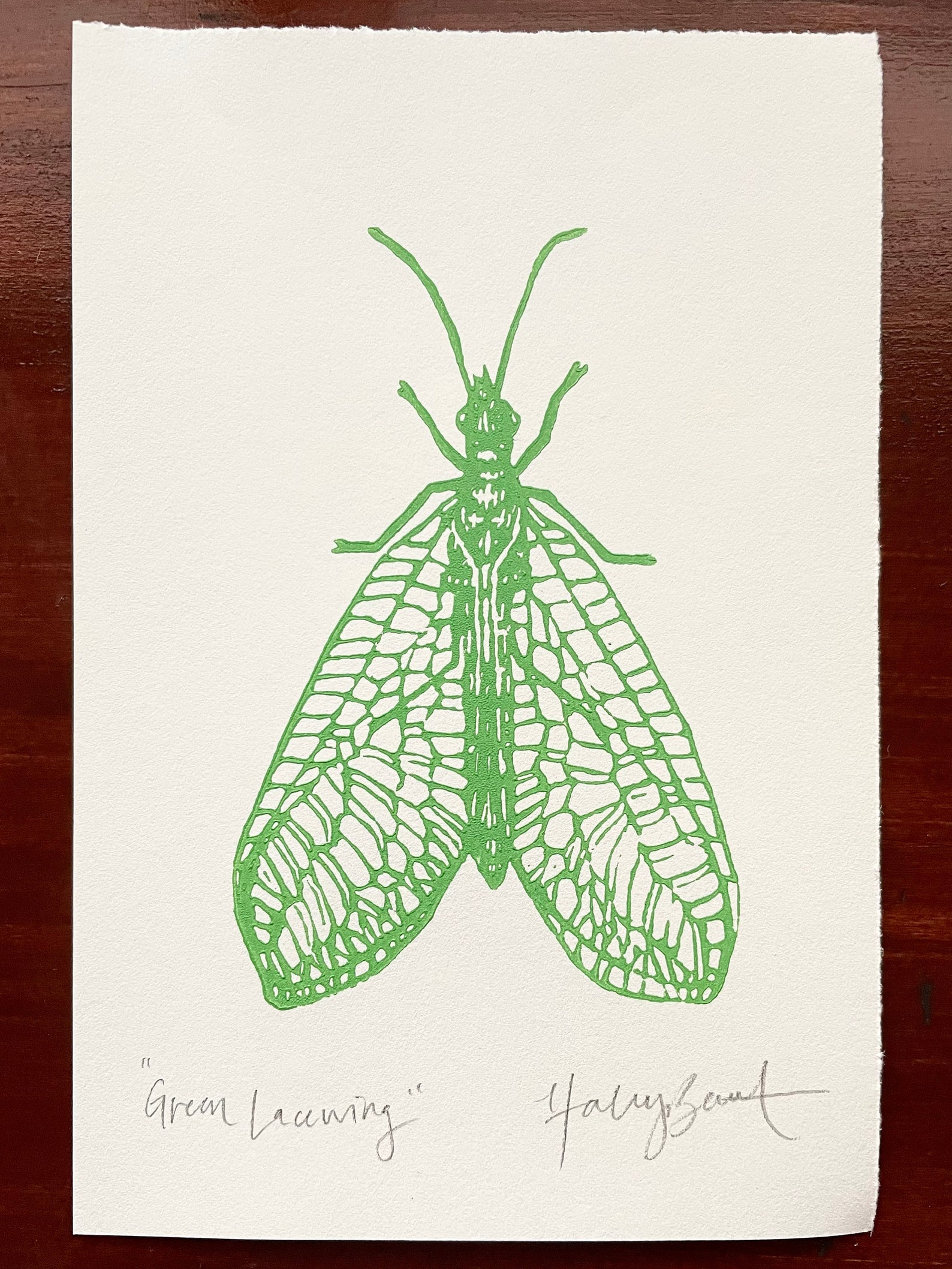 Green Lacewing Mini Linocut Print | 4x6 Insect Relief Block Print ...