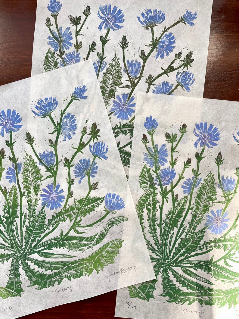 Color Chicory Wildflower Original Linocut Print Blue Flower Botanical ...