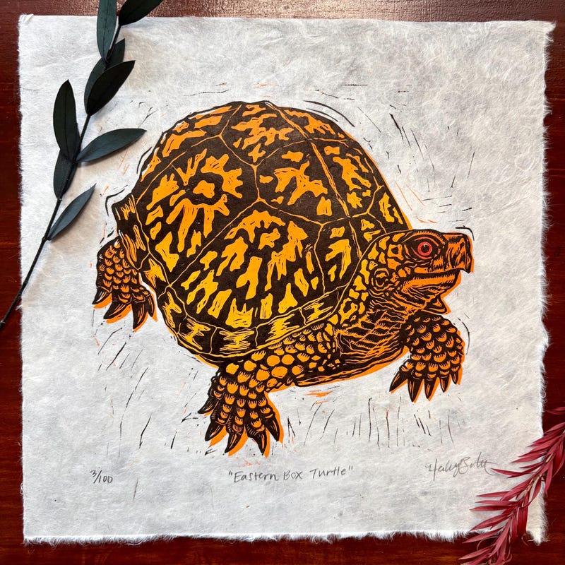 Linocut Wall Art Turtle - Etsy