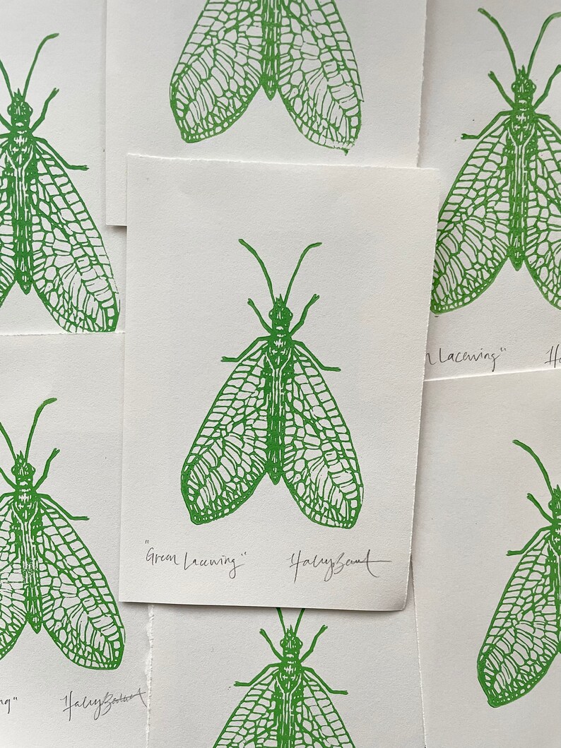 Green Lacewing Mini Linocut Print | 4x6 Insect Relief Block Print ...