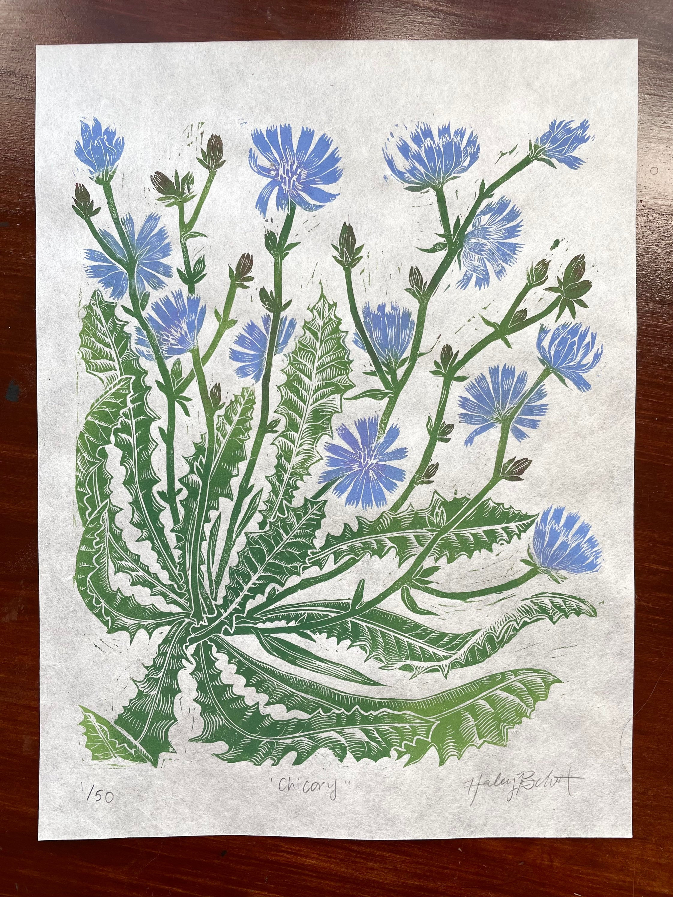 Color Chicory Wildflower Original Linocut Print Blue Flower Botanical ...