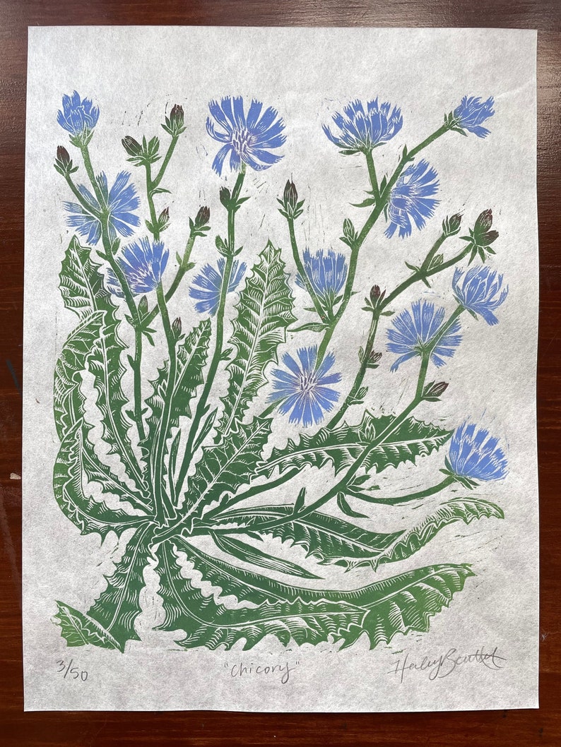 Color Chicory Wildflower Original Linocut Print Blue Flower Botanical ...