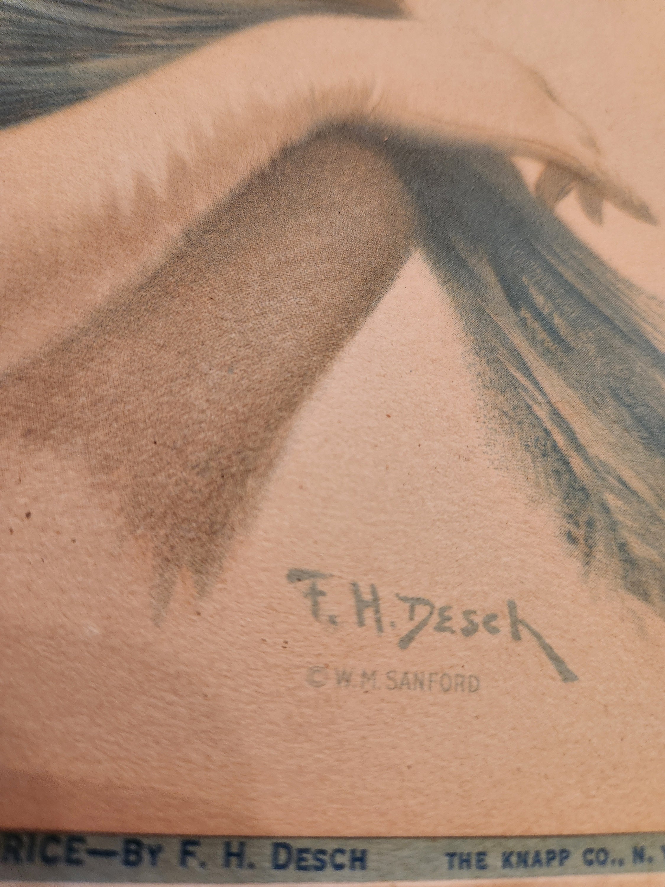 Antique Frank Desch Print of Lady Caprice - Etsy