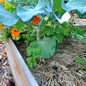 12 Cabbage Moth Decoy, White Butterfly on Stake, Cabbage Moth Decoys - Etsy