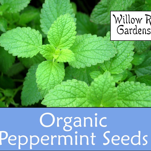 Mint Seeds - Etsy