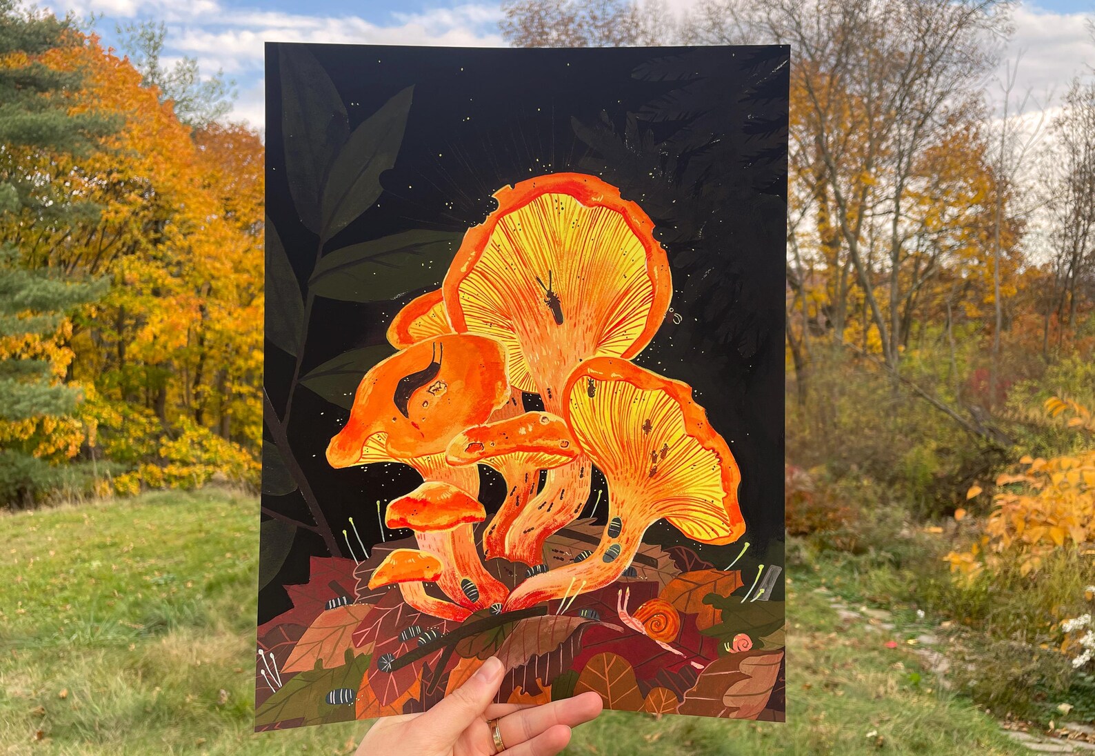Jack O' Lantern Mushroom Art Print by Julian Plum - Etsy