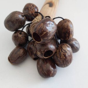 Nut Shells Maraca/ Musical Instrument/ Handmade Maraca/nut Shells ...