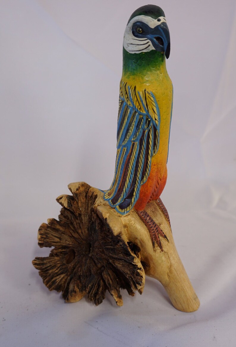 Loro Tropical tallado y pintado a mano Tallado en Madera | Etsy
