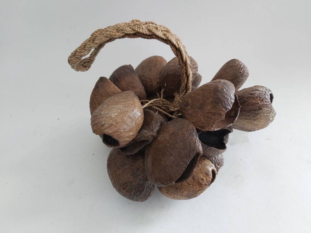Seed Shell Rattle Maraca / Musical Instrument. - Etsy