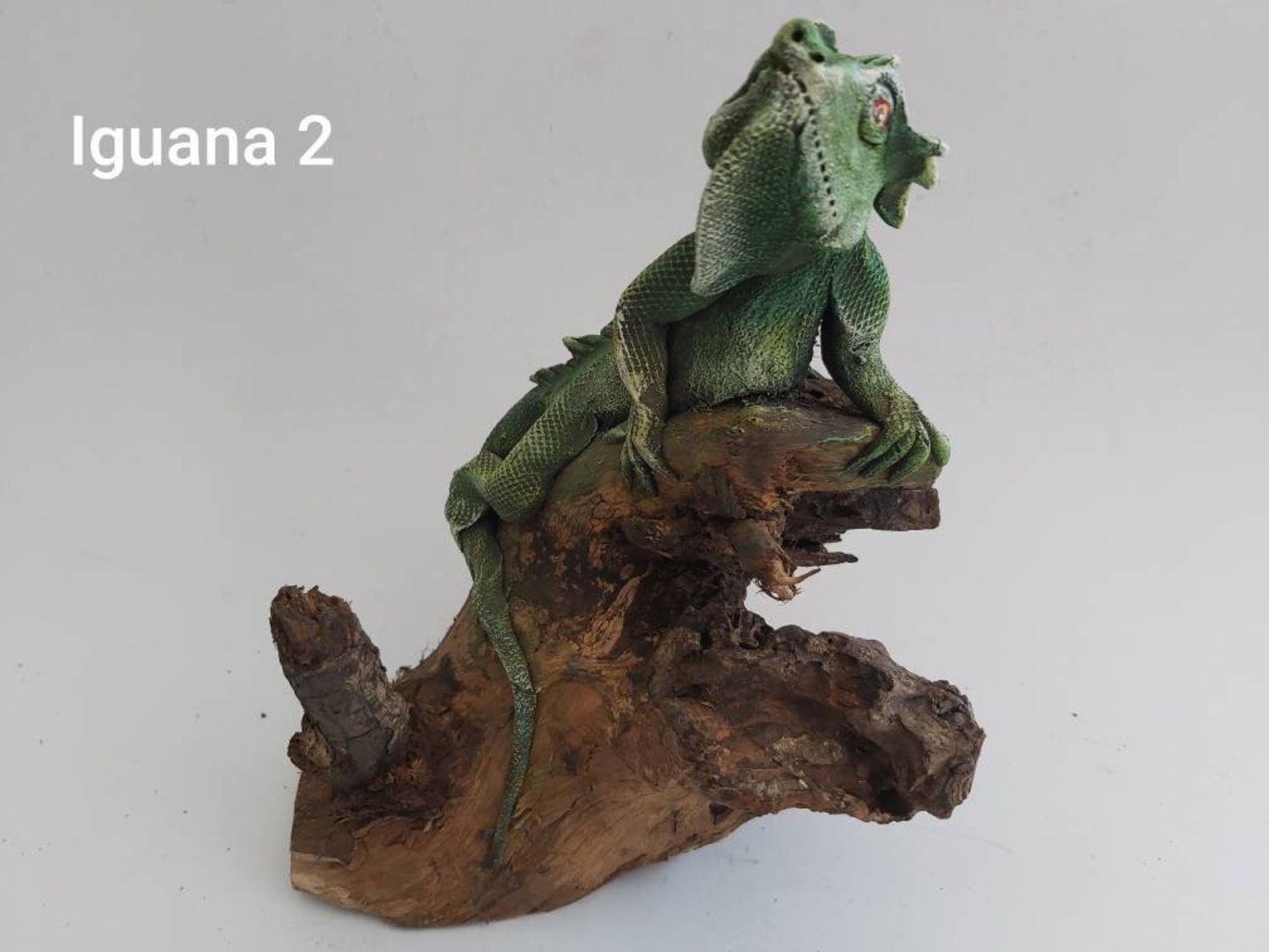 Handmade Green Iguana / Clay Sculptures / Home Decor / Outdoor - Etsy