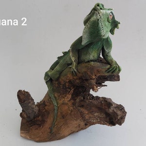 Handmade Green Iguana / Clay Sculptures / Home Decor / Outdoor Decor ...