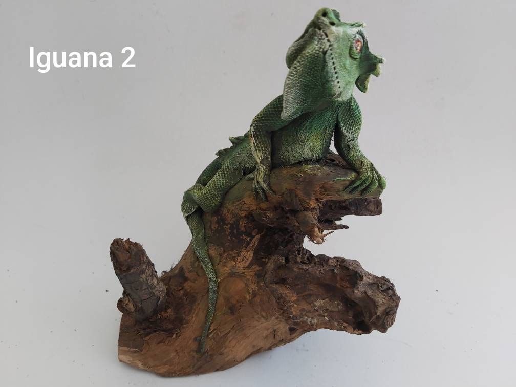Handmade Green Iguana / Clay Sculptures / Home Decor / Outdoor | Etsy