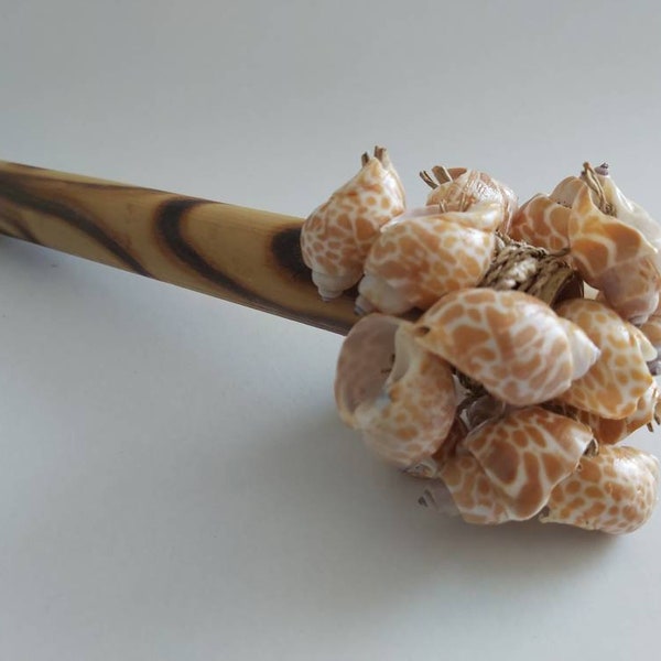 Sea Shells Books - Etsy