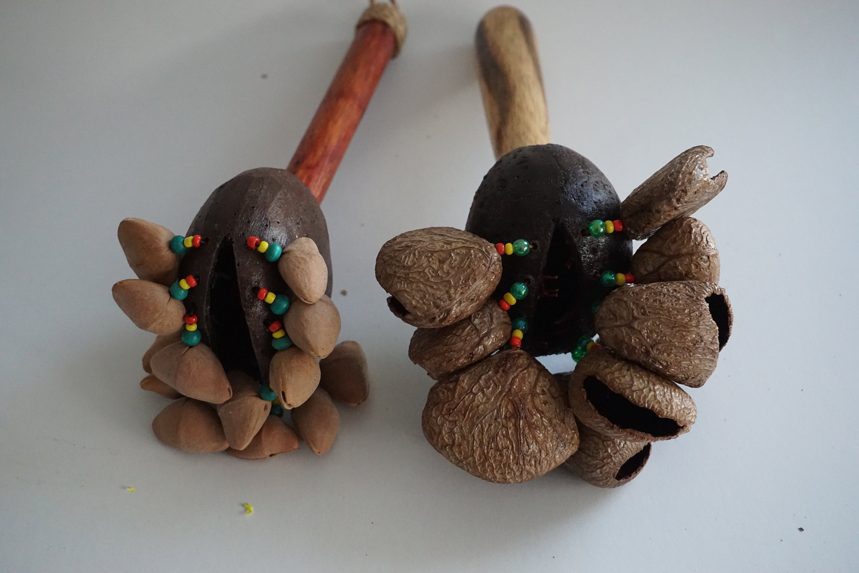 A Seed Stick Maraca Made by Tree Nut Shells / Maraca Nut | Etsy UK