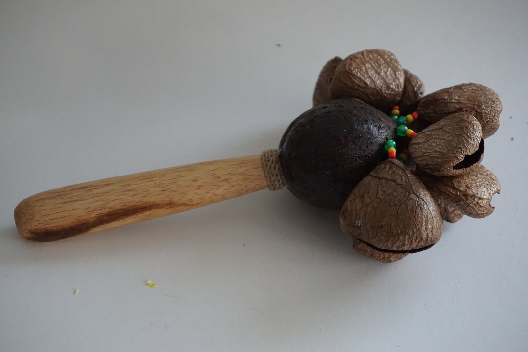 A Seed Stick Maraca Made by Tree Nut Shells / Maraca Nut Shells ...
