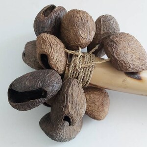 A Bamboo Stick Maraca Made by Tree Nut Shells - Nut Shells Maraca ...