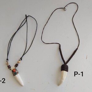 Amazonian Crocodile Tooth Necklace / Crocodile Tooth Choker / Tooth ...