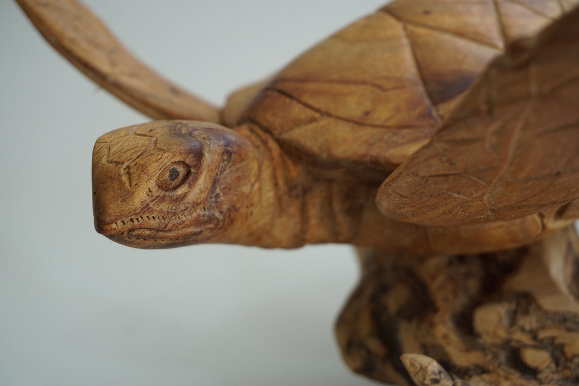 Wooden Turtle / Carved Wooden Turtle / Wood Carving. | Etsy