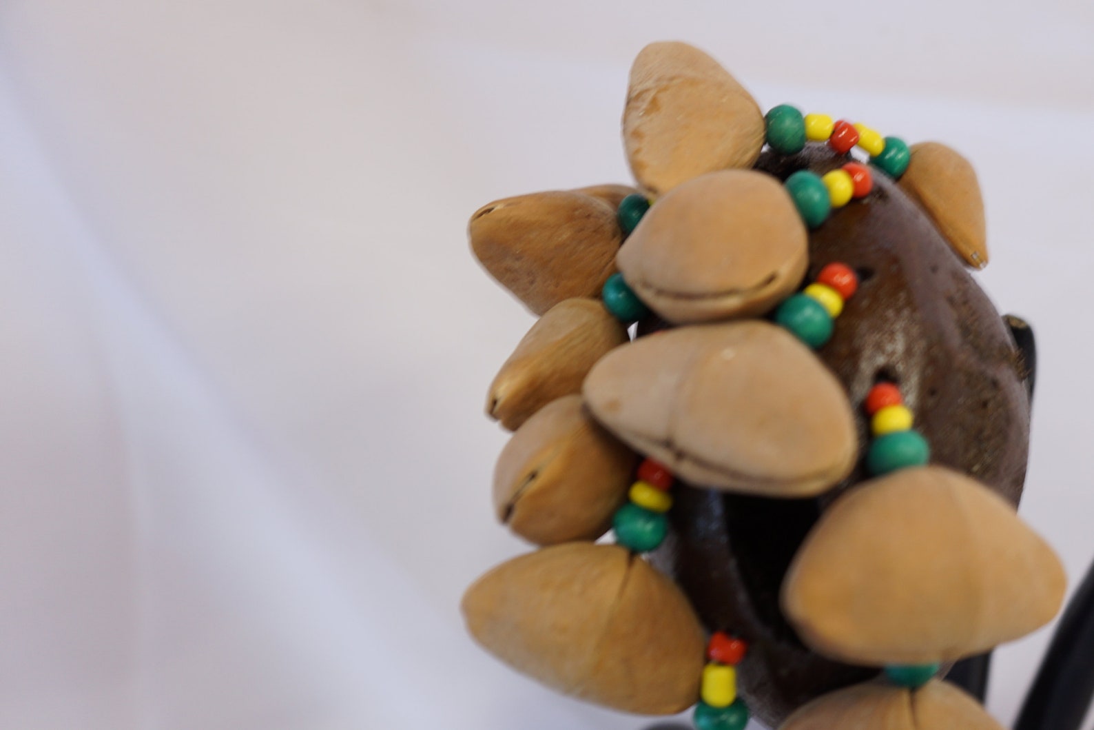 A Seed Stick Maraca Made by Tree Nut Shells / Maraca Nut - Etsy UK