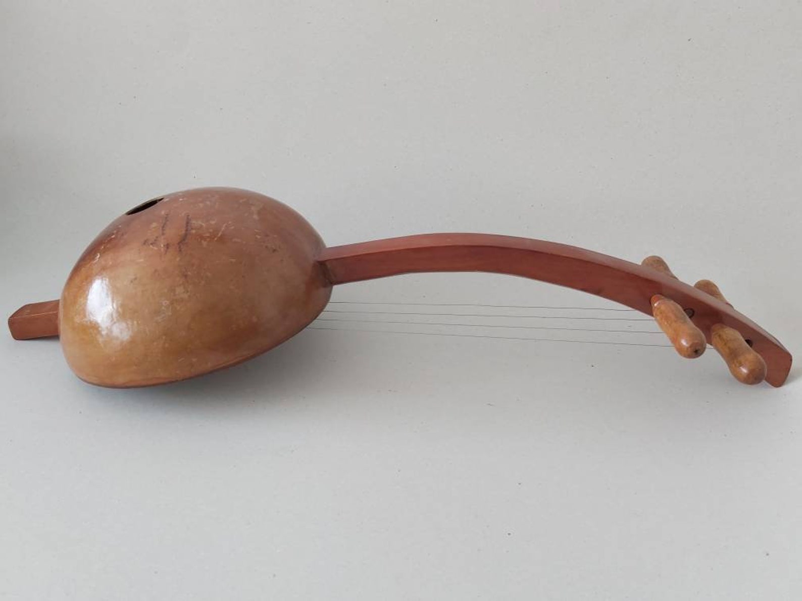 Guitar made from coconut shell. Handmade guitar. | Etsy