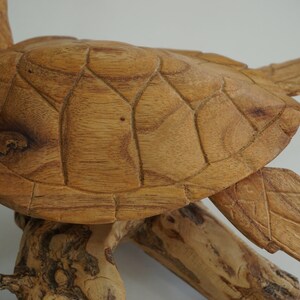 Wooden Turtle / Carved Wooden Turtle / Wood Carving. - Etsy