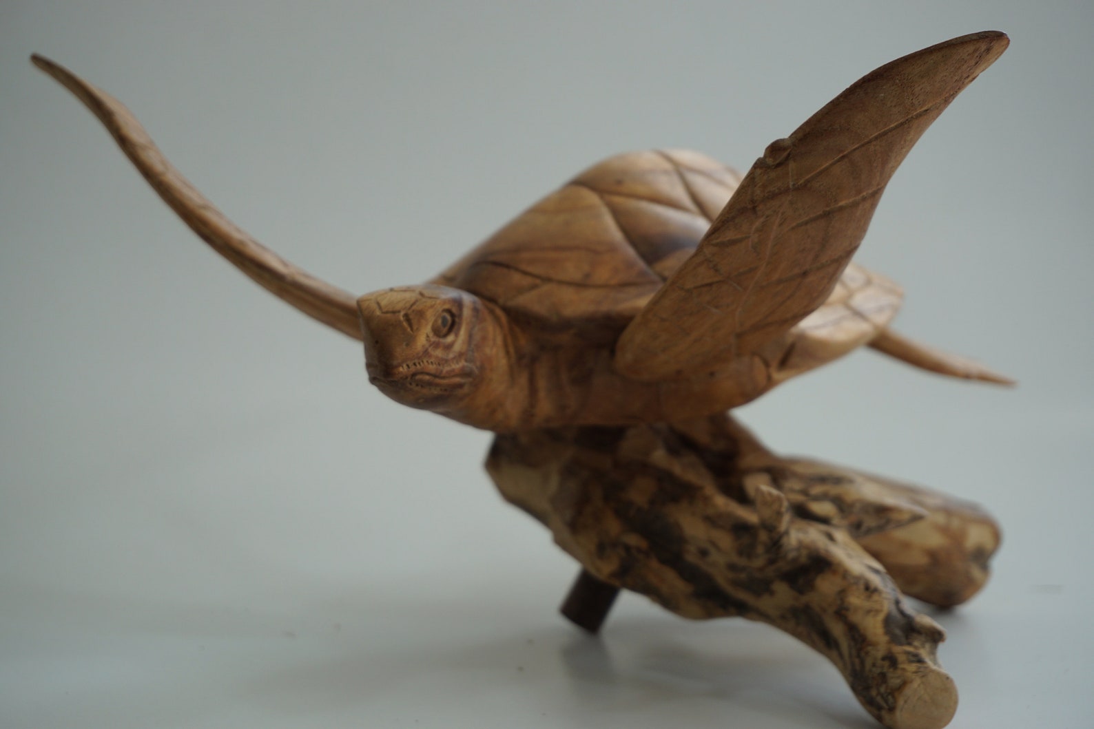 Wooden Turtle / Carved Wooden Turtle / Wood Carving. | Etsy