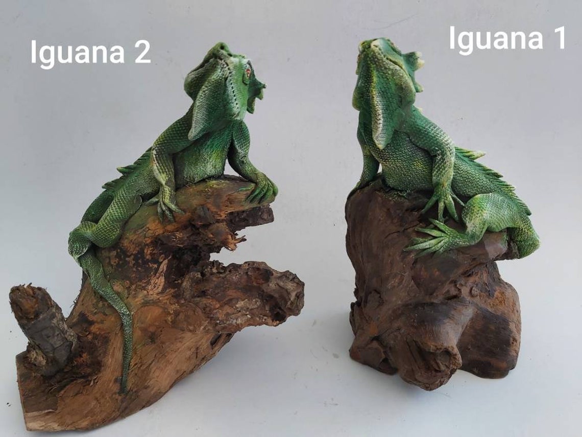 Handmade Green Iguana / Clay Sculptures / Home Decor / Outdoor | Etsy