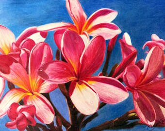 Devin Hester Colored Pencil Drawing Limited Edition Print Numbered to ...