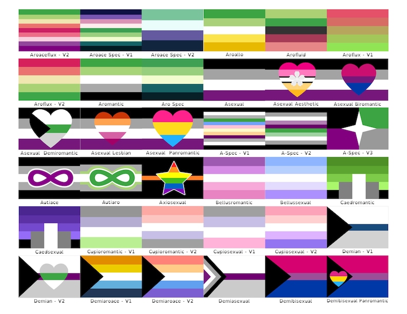 Choose Your Aroace Pride Wall Flag | Single-sided | 4 Sizes | Aromantic ...
