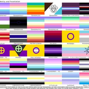 Choose Your Gender Pride Wall Flags | Single-sided | 5 Sizes | Gender ...