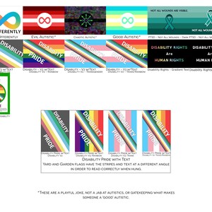 Choose Your Disability and Neurodivergent Wall Flags Single-sided 5 ...