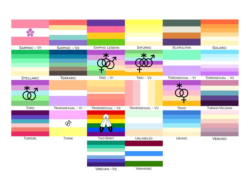 Choose Your Orientation Pride Flags Single or Double-sided - Etsy