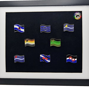 Kink and Fetish Flag Enamel Pins | Choose Your Flag | Kink and Fetish ...
