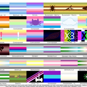 Choose Your Gender Identity and Expression Pride Wall Flags All-over ...