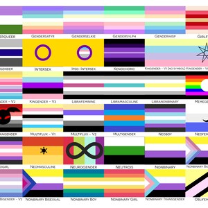 Choose Your Gender Identity and Expression Pride Wall Flags All-over ...