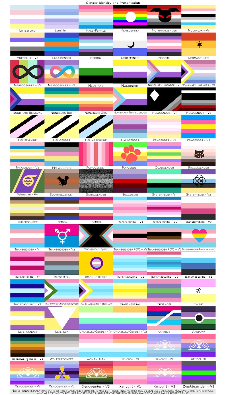 Choose Your Gender Identity and Expression Pride Wall Flags | All-over ...
