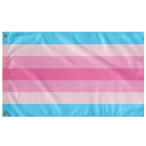 Femboy Pride Flag - Etsy