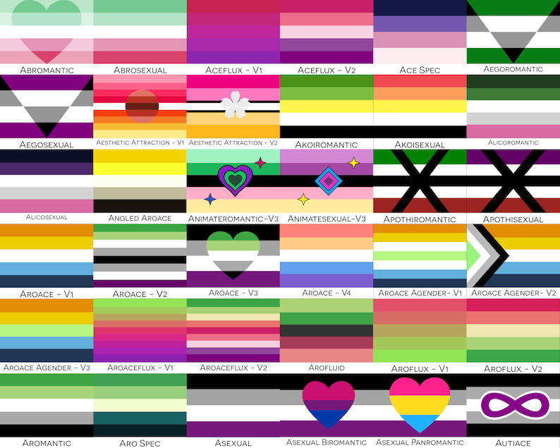 Choose Your Aroace Pride Flags Single Or Double Sided 2 Etsy