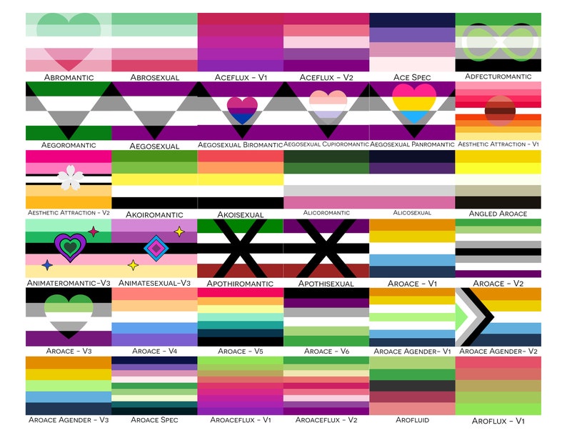 Choose Your Aroace Pride Wall Flags All-over-print 5 Sizes - Etsy